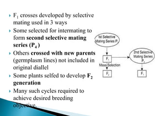 Population breeding in self pollinated crops | PPTX