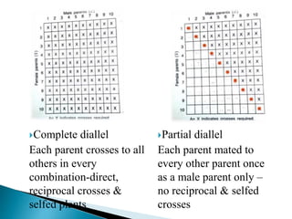 Population breeding in self pollinated crops | PPTX
