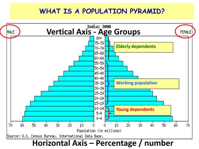 Population change revision | PPTX | Reproductive Health | Diseases and Conditions