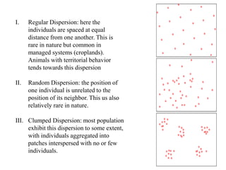 Population Ecology.pptx