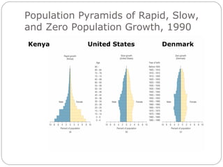 Population Composition & Structure | PPT