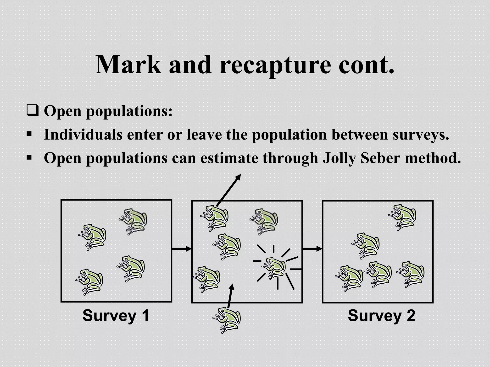 Population counting method line transect, point count, mark and ...