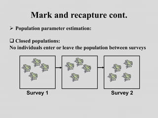 Population counting method line transect, point count, mark and ...