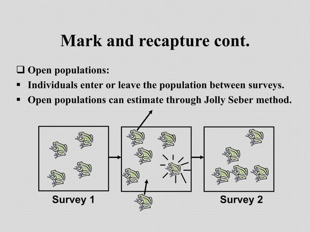 Population Counting Method Line Transect Point Count Mark And