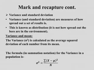 Population counting method line transect, point count, mark and ...