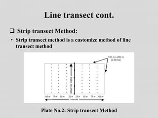 Population counting method line transect, point count, mark and ...