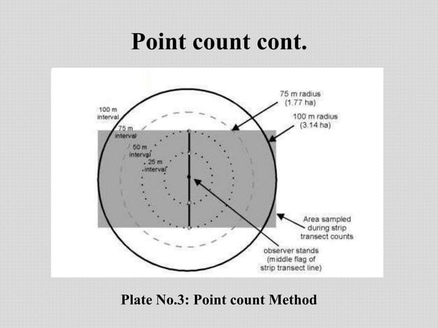 Population Counting Method Line Transect Point Count Mark And Recapture