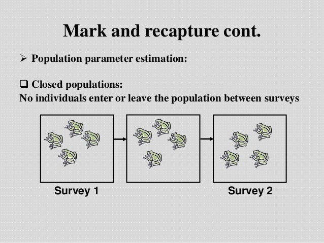 Population Counting Method Line Transect Point Count Mark And Recap