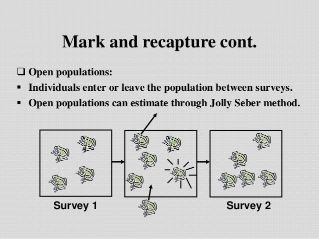 Population Counting Method Line Transect Point Count Mark And Recap