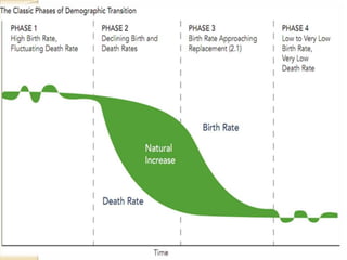Population: Demography of Pakistan | PPTX