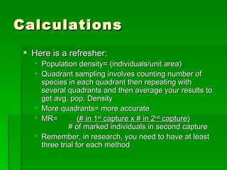 Population Density Lab | PPT