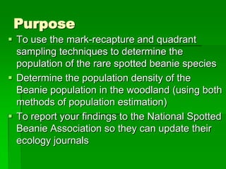 Population density lab | PPTX