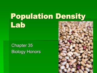 Population Density Biology