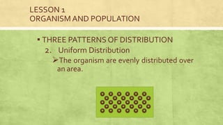 Population Dynamics | PPTX