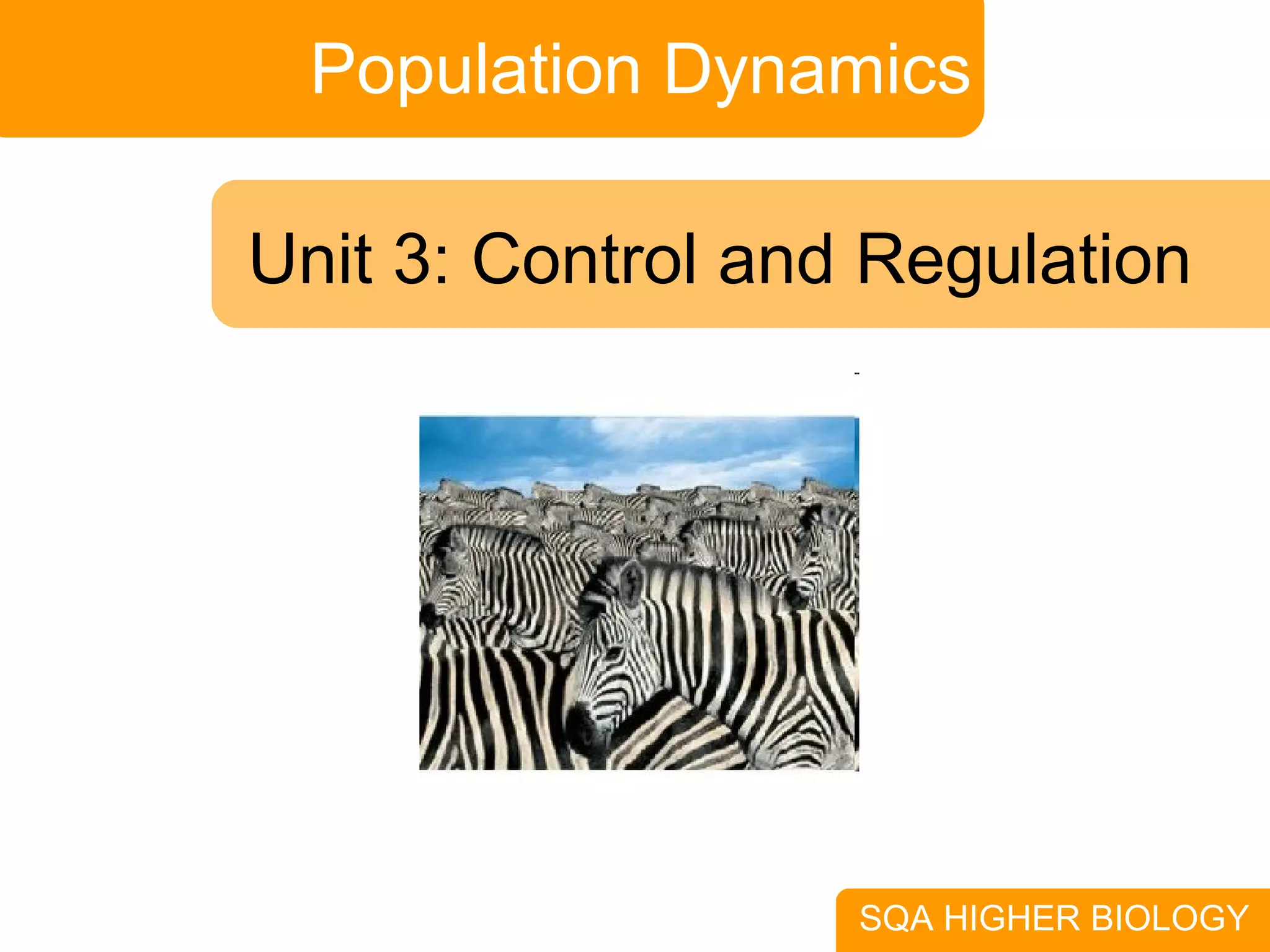 Population Dynamics | PPT