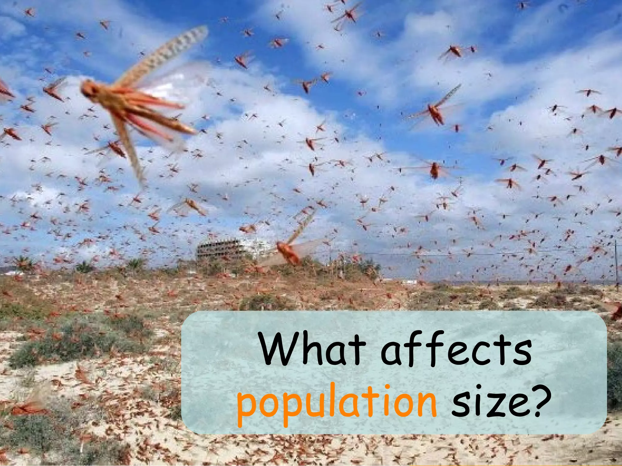 Population Dynamics | PPT