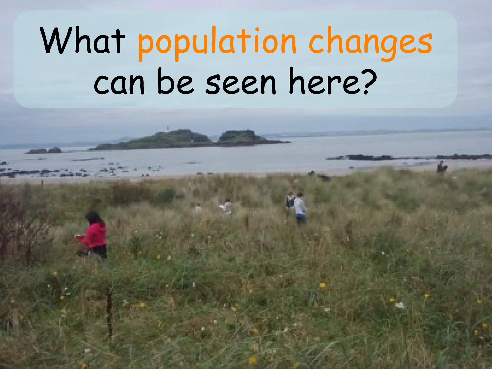 Population Dynamics | PPT