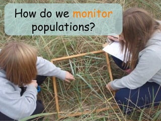 Population Dynamics | PPT