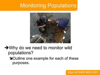 Population Dynamics | PPT