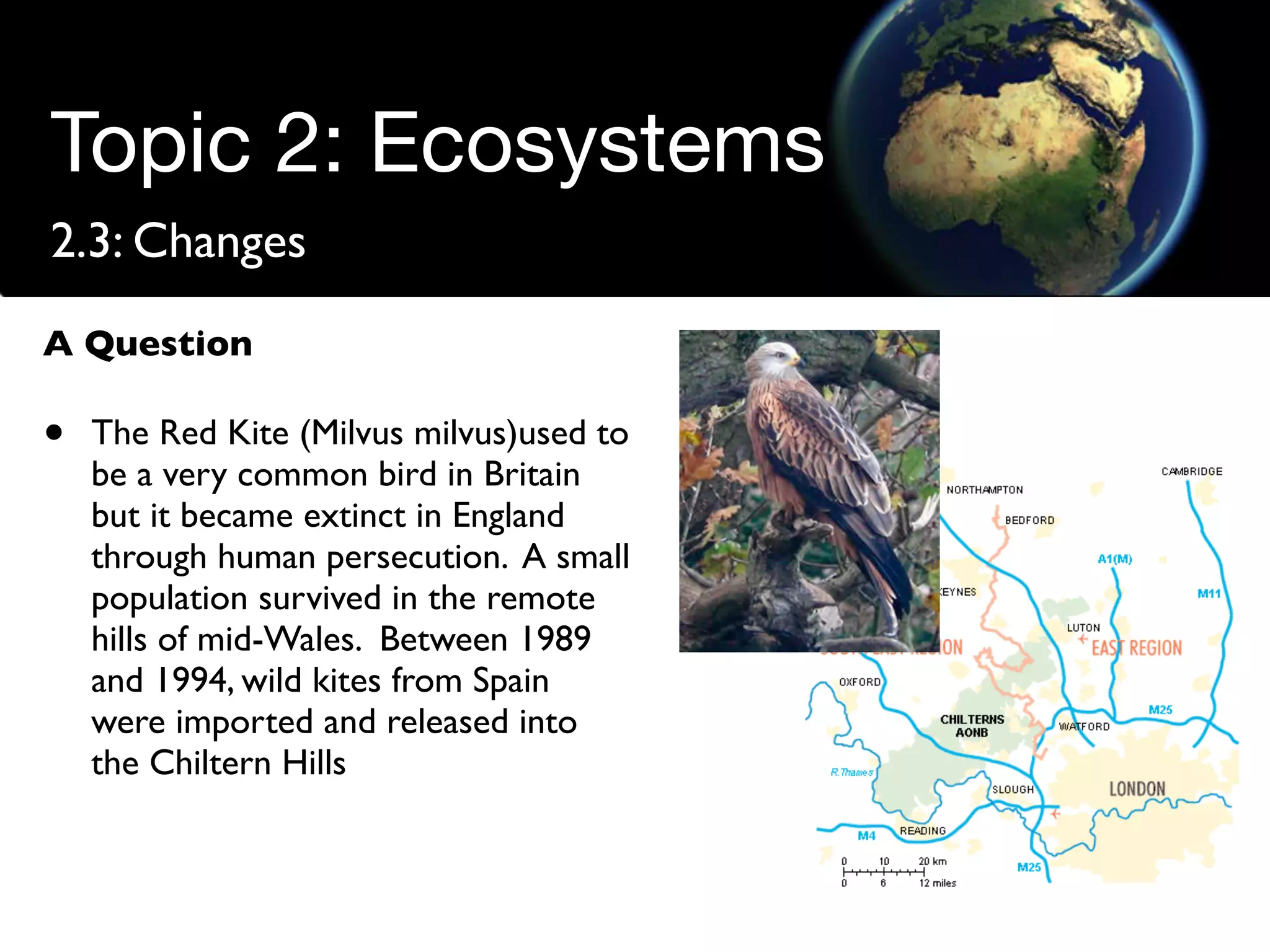 Population Dynamics | PPT