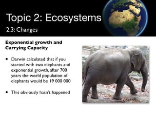 Population Dynamics | PPT