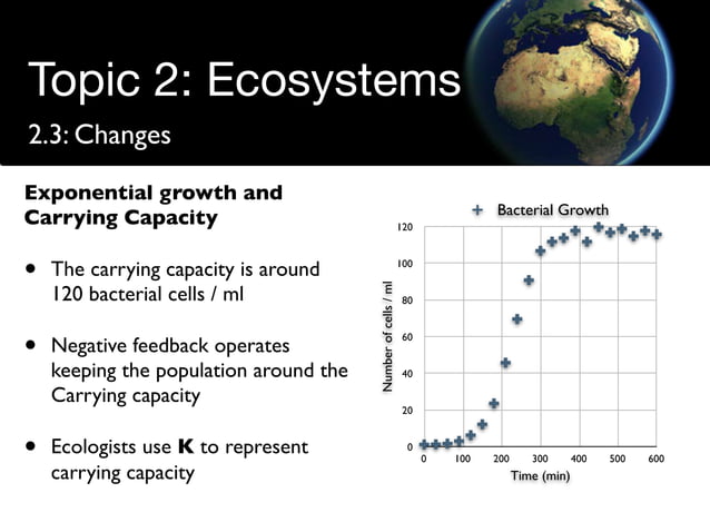 Population Dynamics | PPT