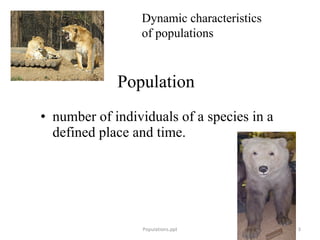 Population dynamics | PPT