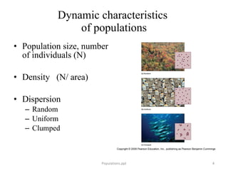 Population dynamics | PPT