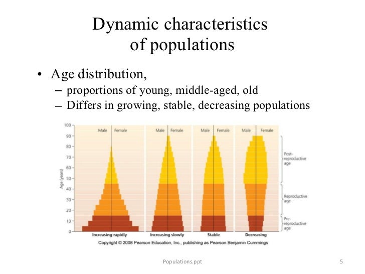 Population dynamics