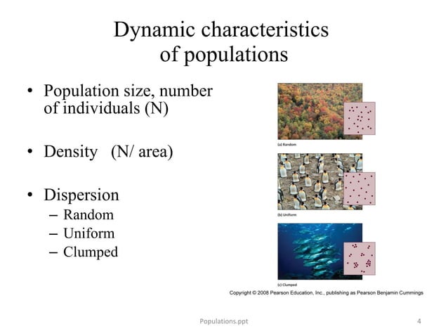 Population dynamics | PPT | Biological Sciences | Science