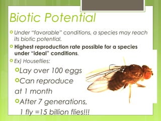 Population dynamics | PPT