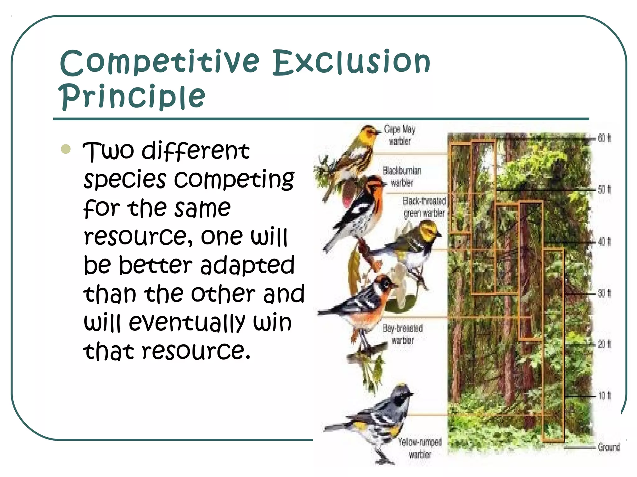 Population dynamics | PPT