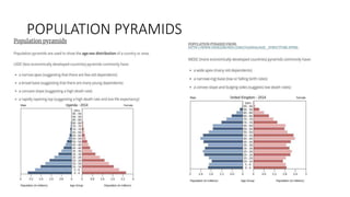 AS Human Geography - Population dynamics | PPT
