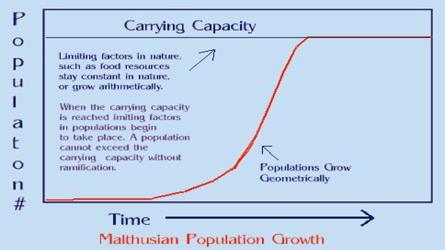 AS Human Geography - Population dynamics | PPT