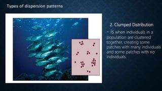 Population dynamics | PPTX