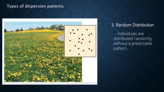 Population dynamics | PPTX