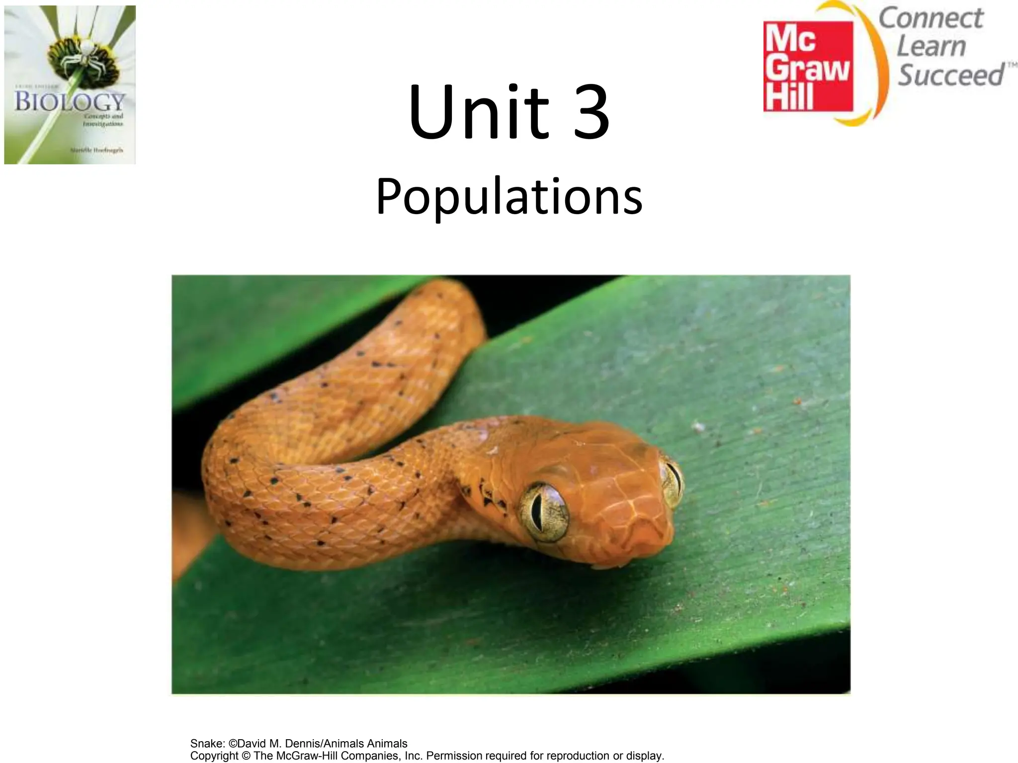Population Dynamics - std.ppt
