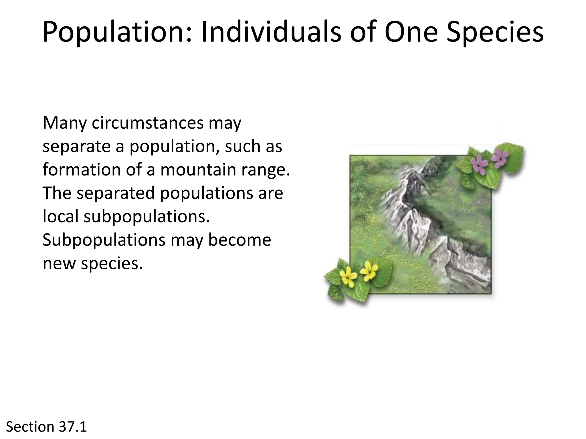 Population Dynamics Stdppt