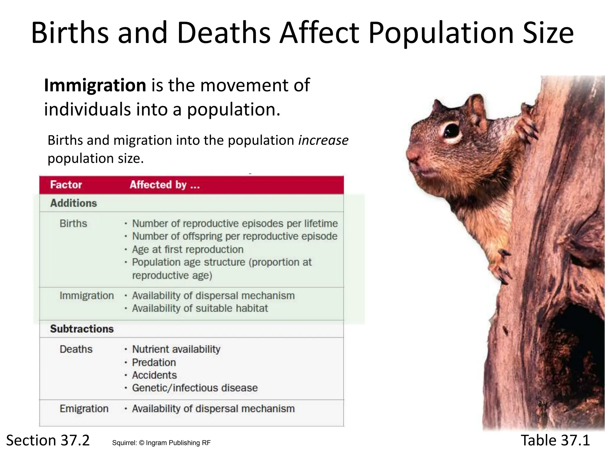 Population Dynamics - std.ppt