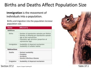 Population Dynamics - std.ppt