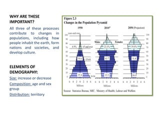 Population dynamics introduction | PPTX | Science