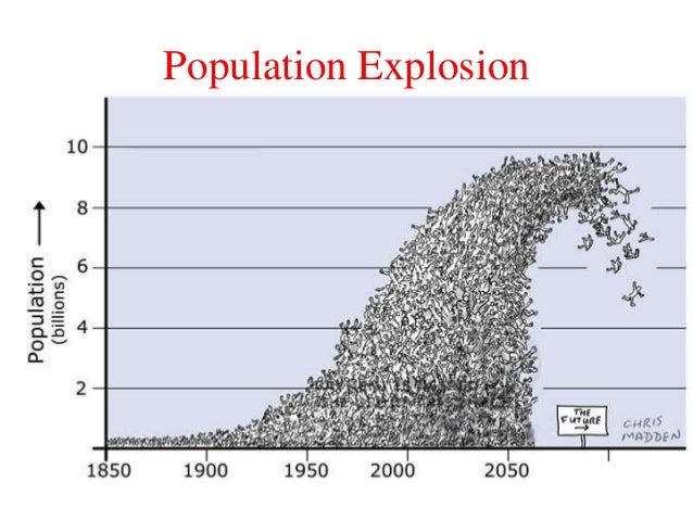 Population dynamics introduction