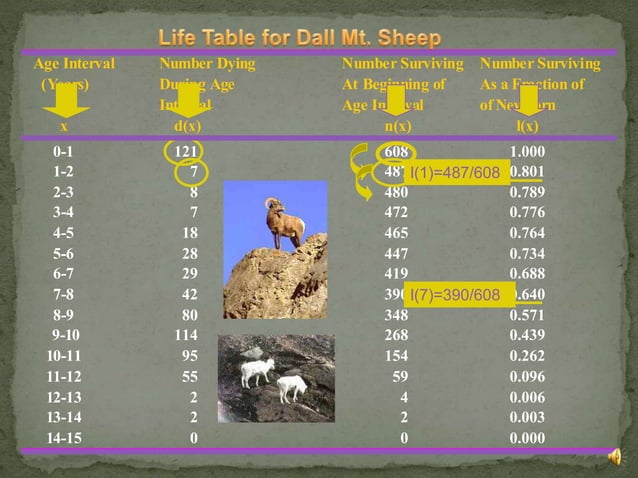 Population dynamics life tables part1_narrated_2010 | PPT