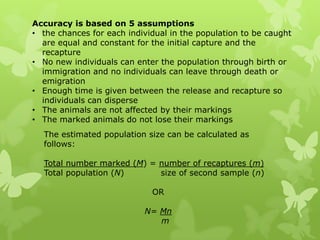 populationdynamicspresentation-130313073741-phpapp02.pdf