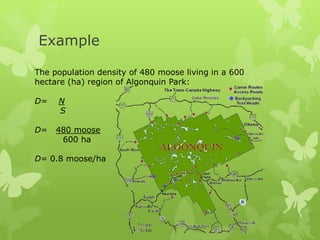 populationdynamicspresentation-130313073741-phpapp02.pdf