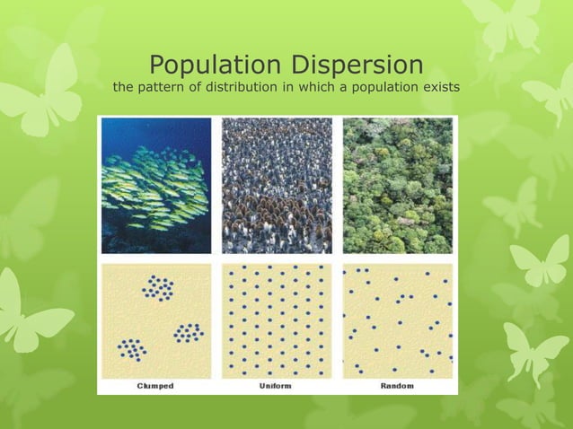 populationdynamicspresentation-130313073741-phpapp02.pdf