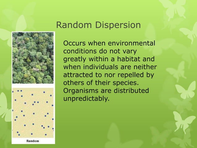 populationdynamicspresentation-130313073741-phpapp02.pdf