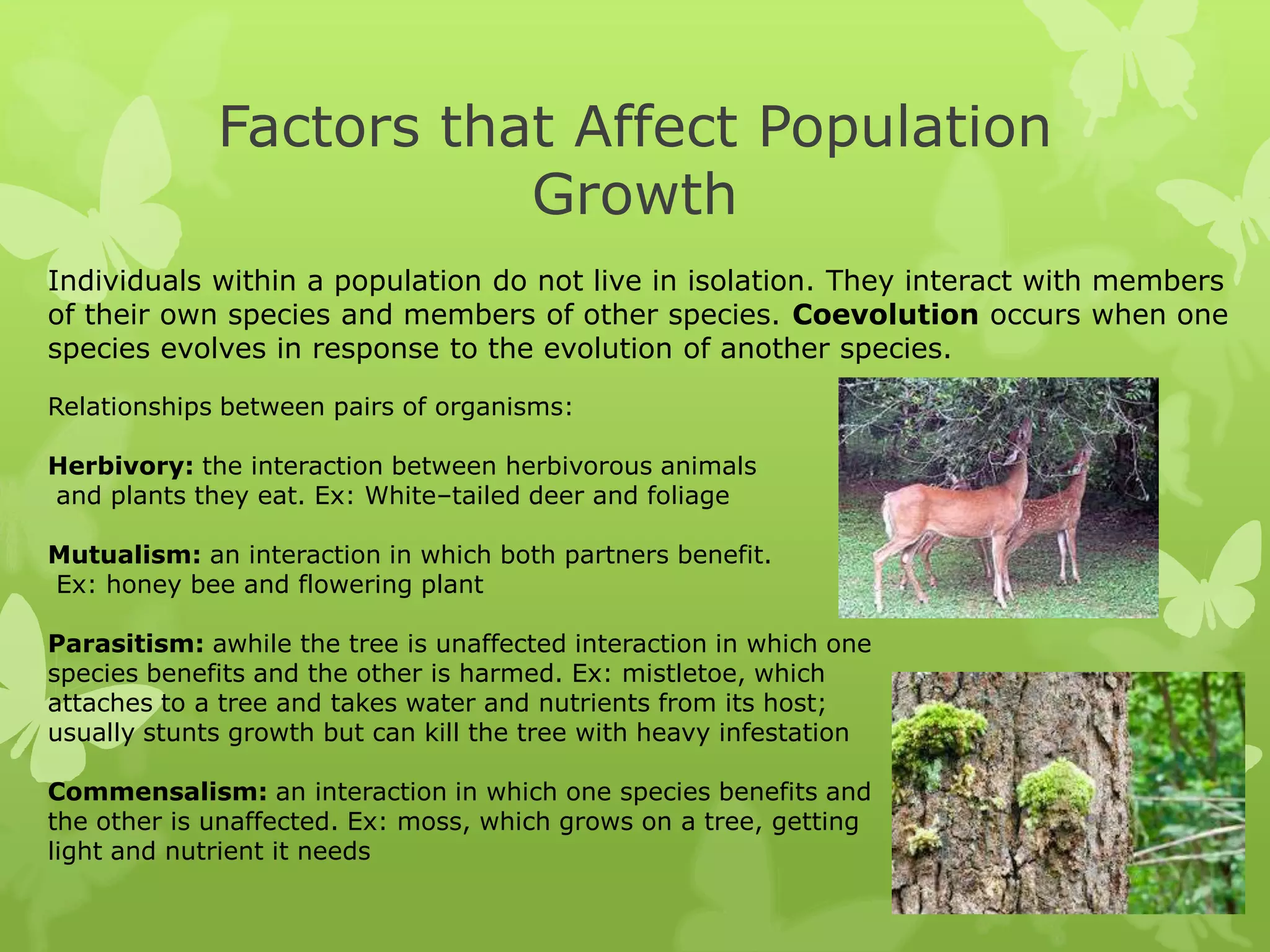 Population dynamics presentation | PPTX