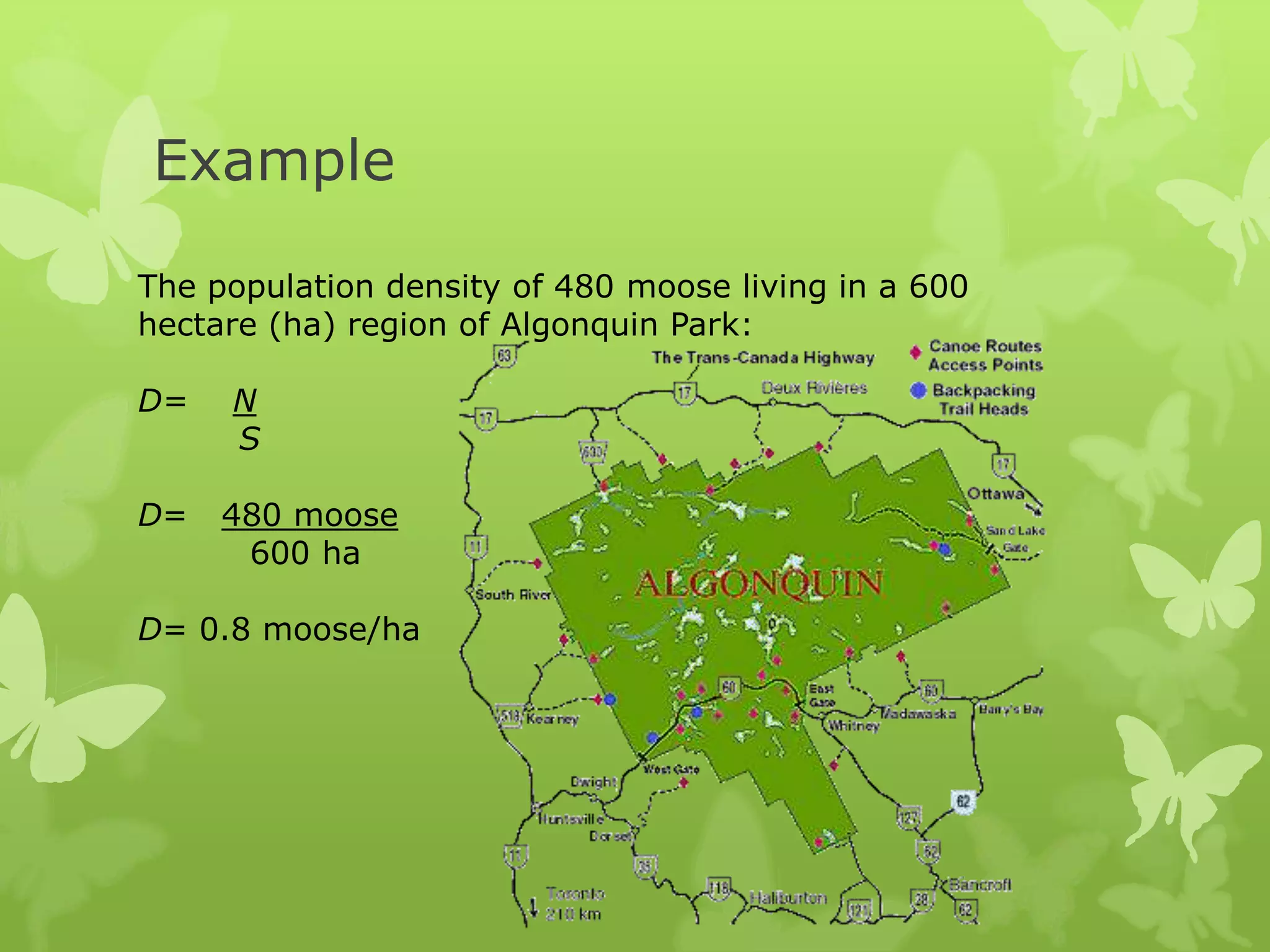 Population dynamics presentation | PPTX