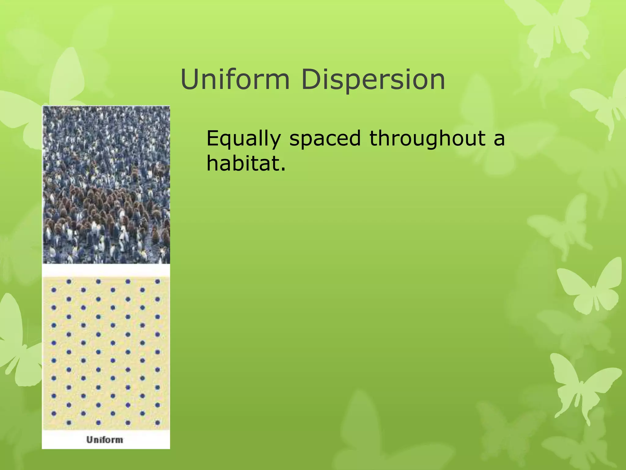 Population dynamics presentation | PPTX